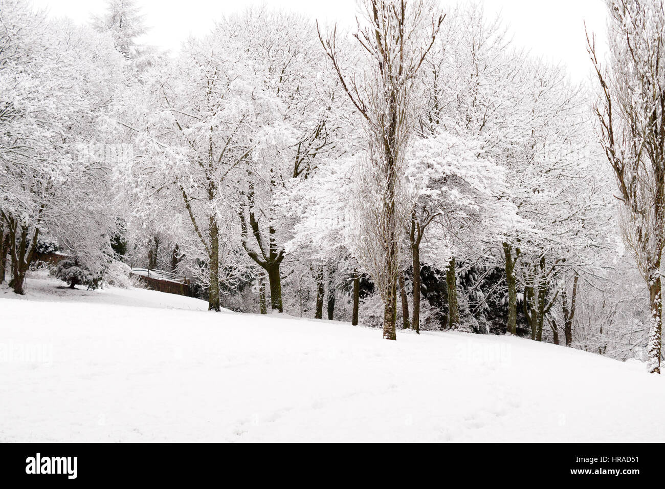 Narnia snow hi-res stock photography and images - Alamy
