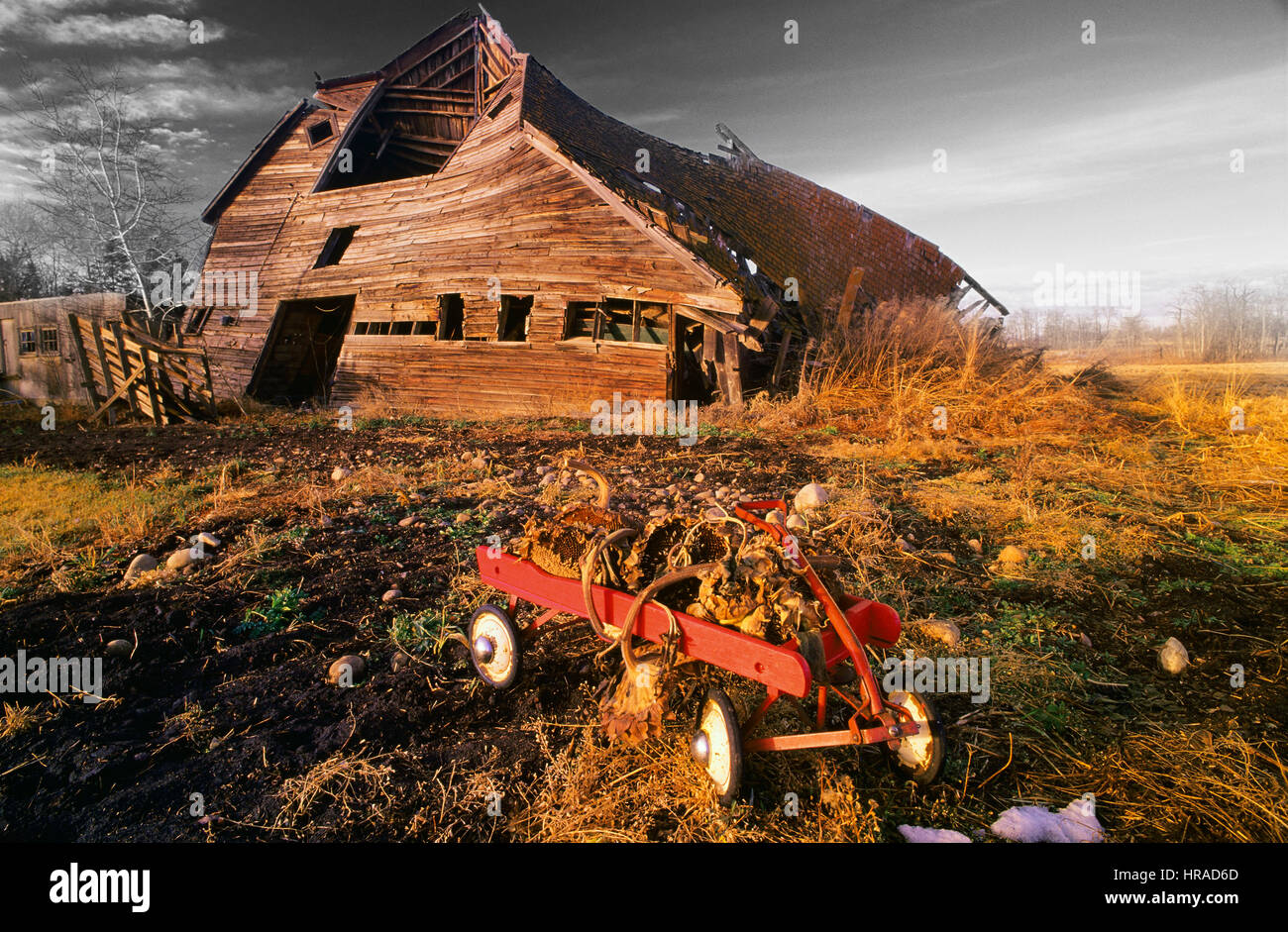 Discarded Toy Wagon in front of a Falling Down Barn Stock Photo - Alamy