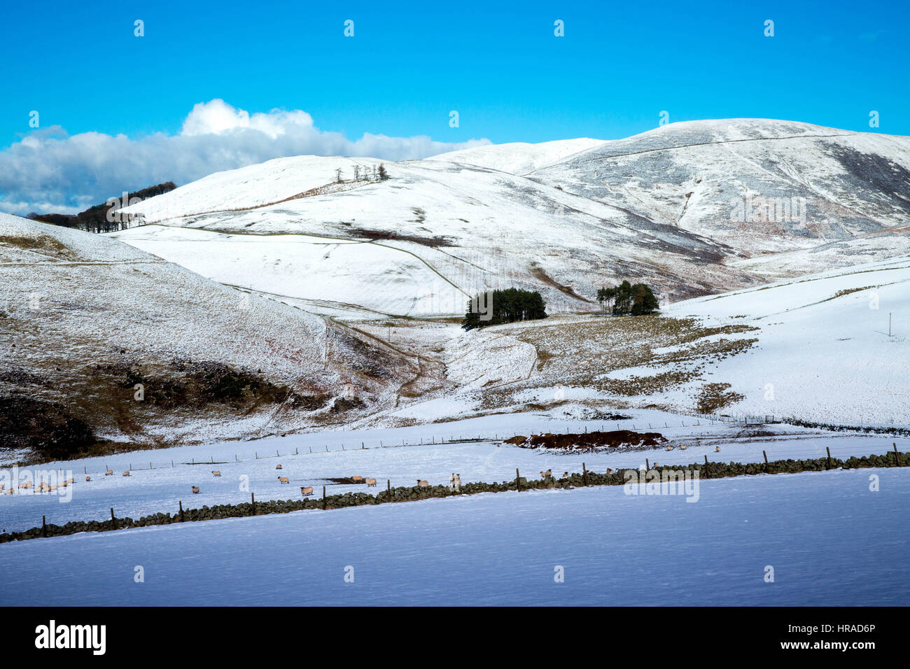 Moorfoot hills hi-res stock photography and images - Alamy
