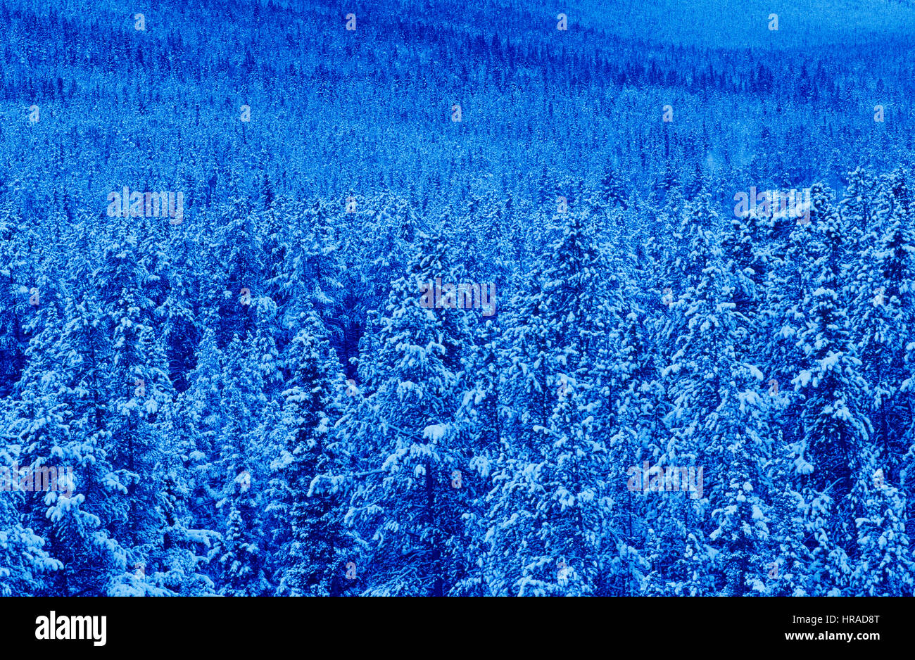 Landscapes of banff alberta hi-res stock photography and images - Alamy