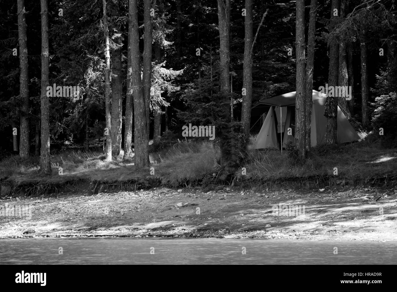 black and white camping landscape with tent in forest near lake Stock ...