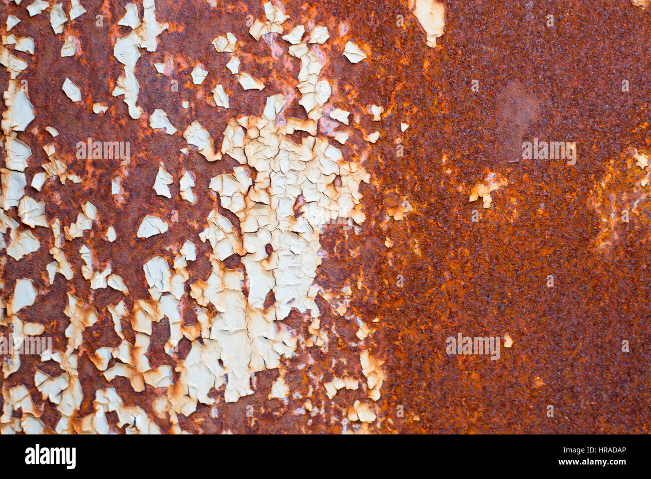 Corroded white metal background. Rusted white painted metal wall. Rusty ...