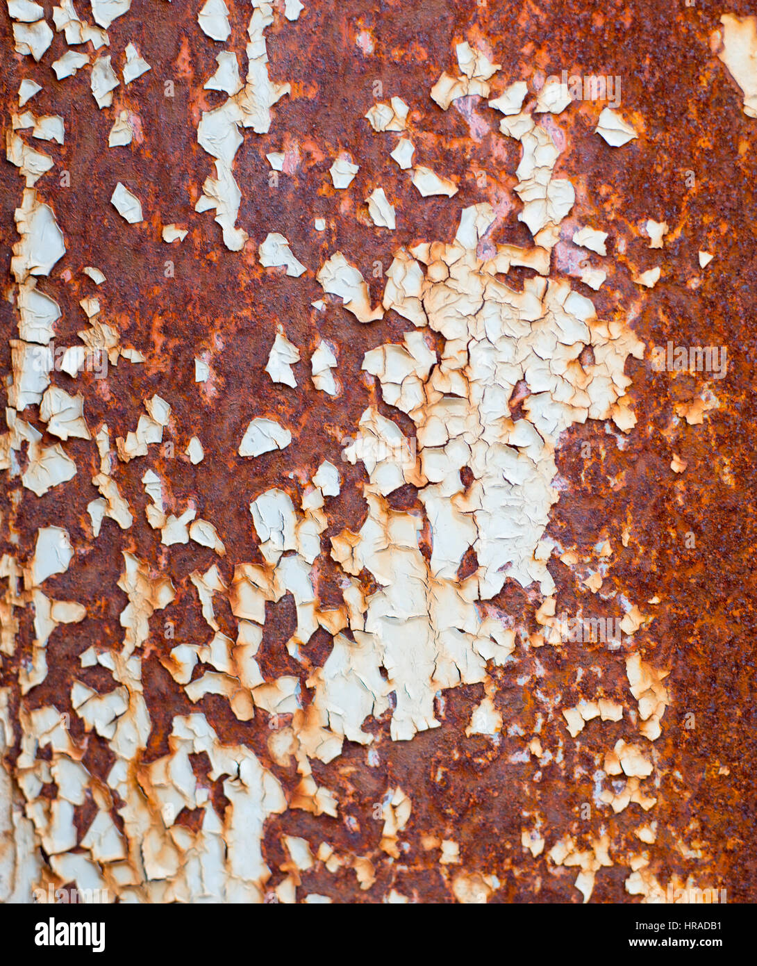 Corroded white metal background. Rusted white painted metal wall. Rusty ...