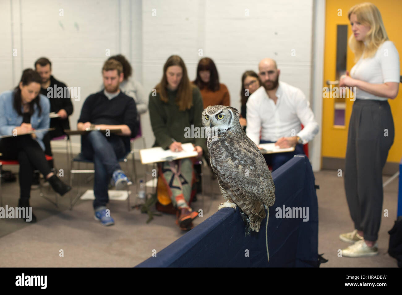 Jennie webber hi-res stock photography and images - Alamy