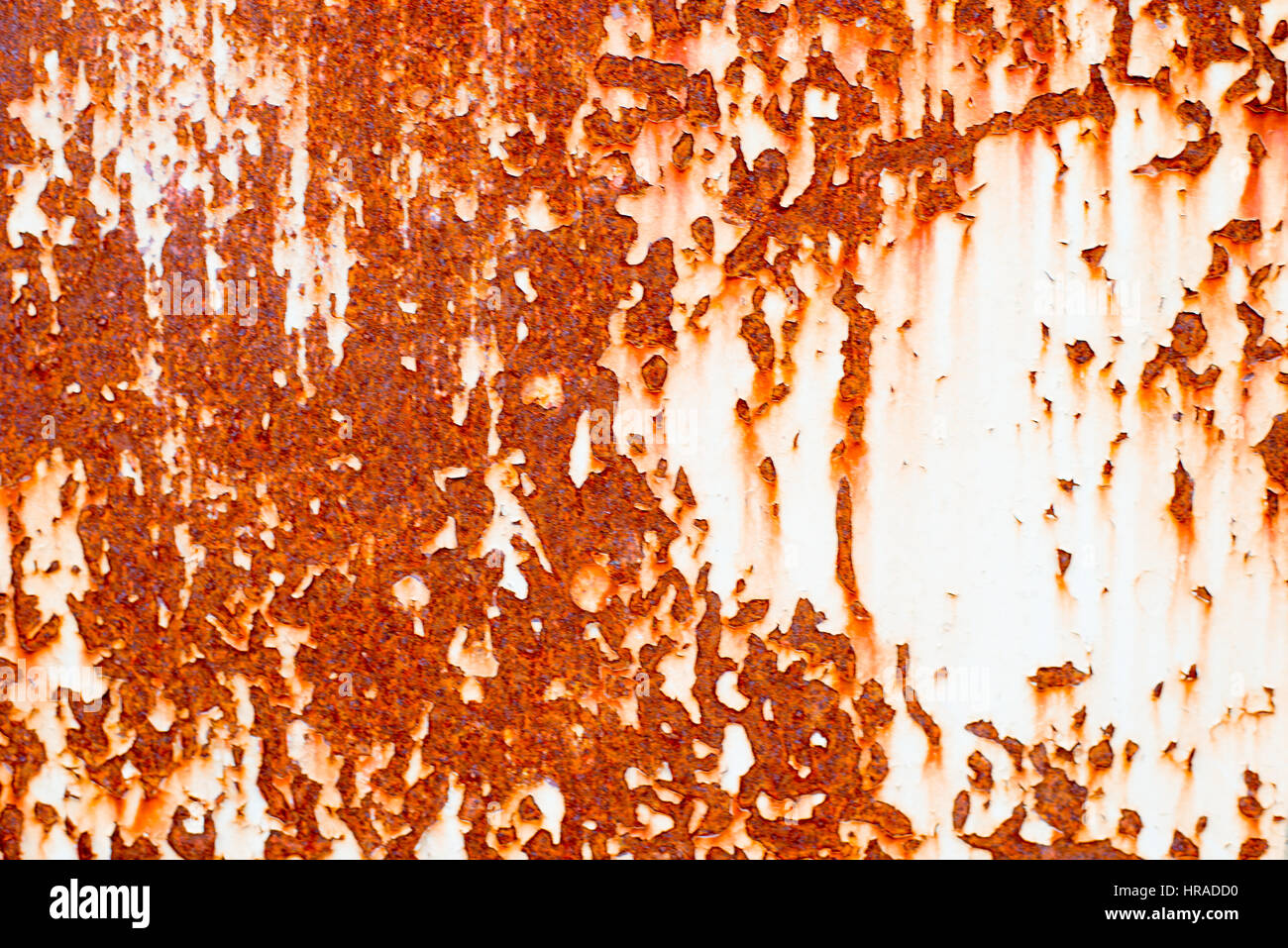 Corroded white metal background. Rusted white painted metal wall. Rusty ...