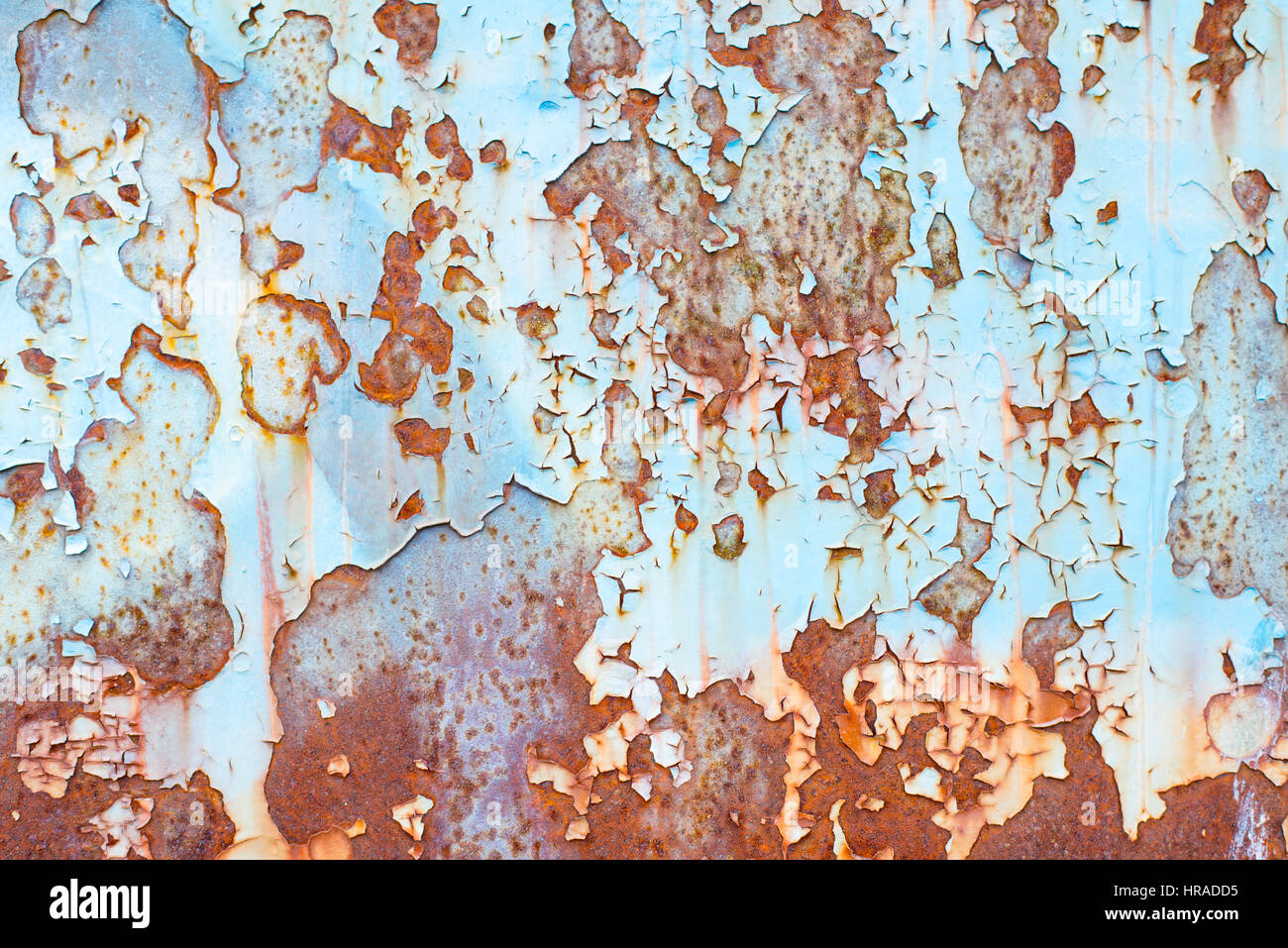 Corroded white metal background. Rusted white painted metal wall. Rusty ...