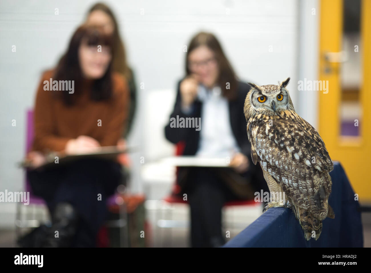 Jennie webber hi-res stock photography and images - Alamy
