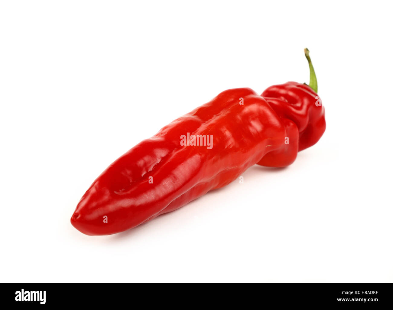 One whole fresh red sweet paprika pepper isolated on white background ...