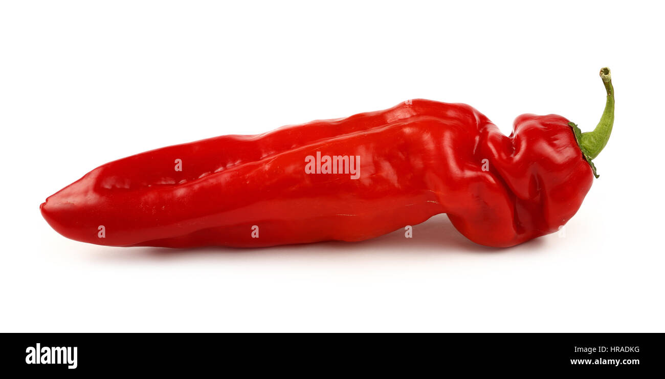 One whole fresh red sweet paprika pepper isolated on white background ...