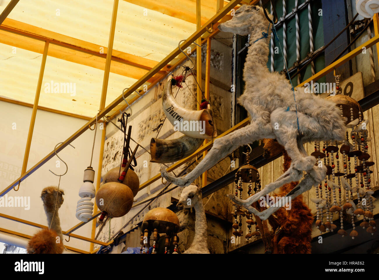 A dead baby llama for sale as a good luck charm on La Paz's Witches ...