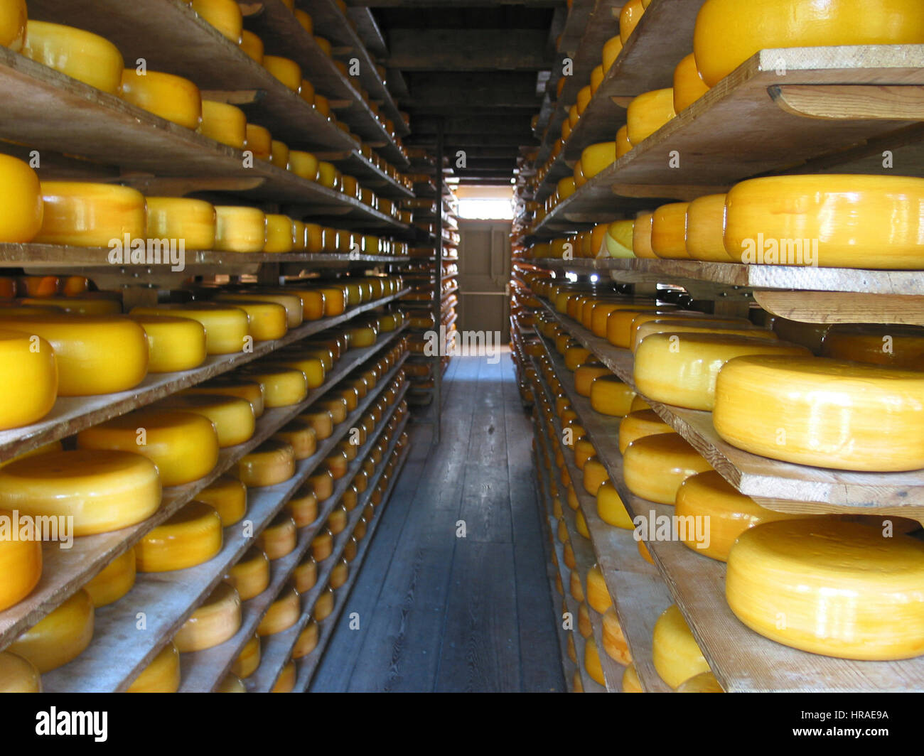 Edammer hi-res stock photography and images - Alamy