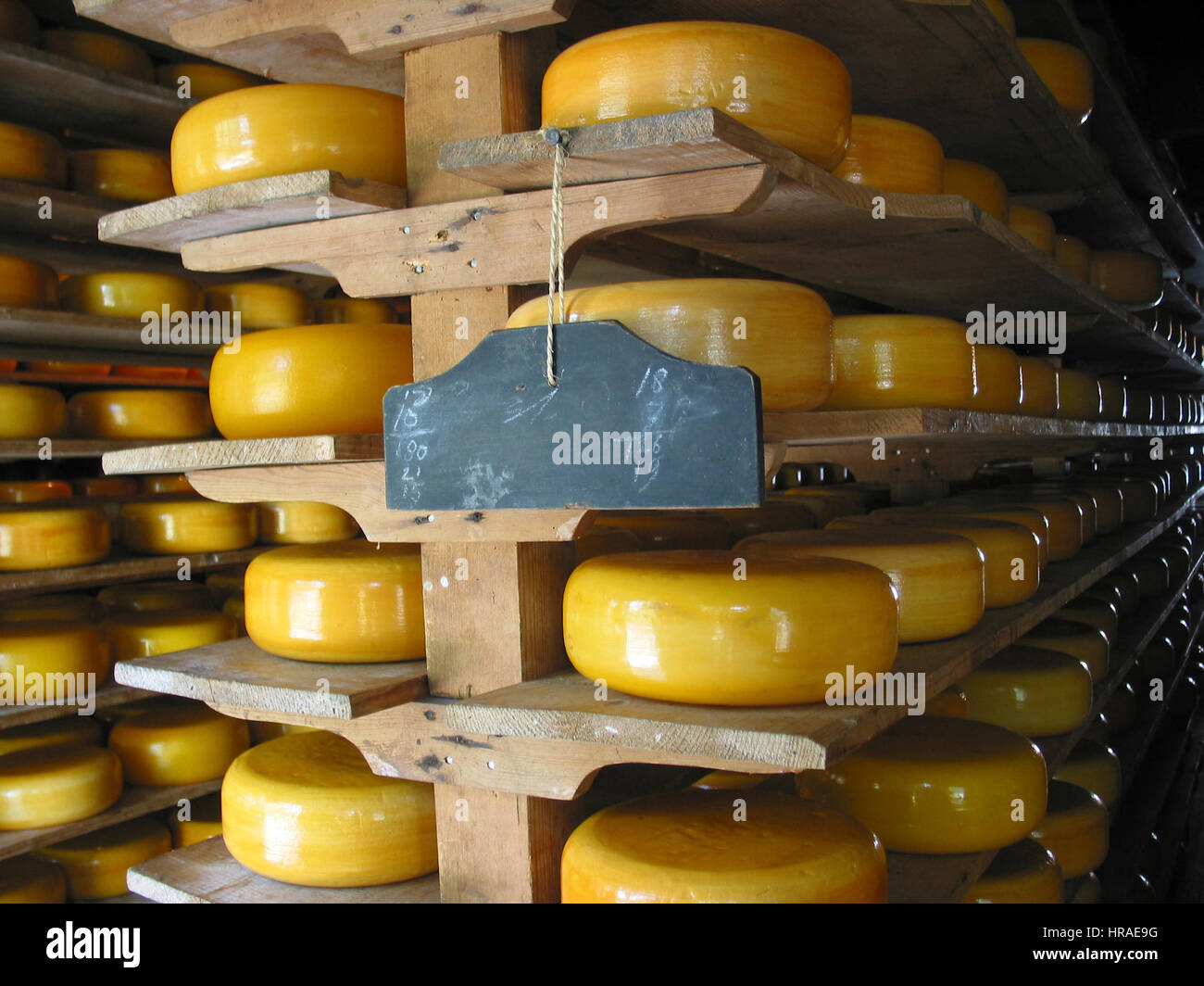cheese factory in the netherlands Stock Photo - Alamy