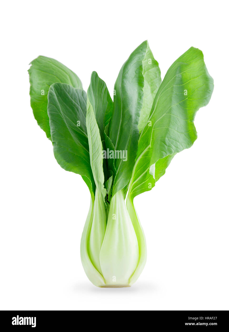 Fat choy Cut Out Stock Images & Pictures - Alamy
