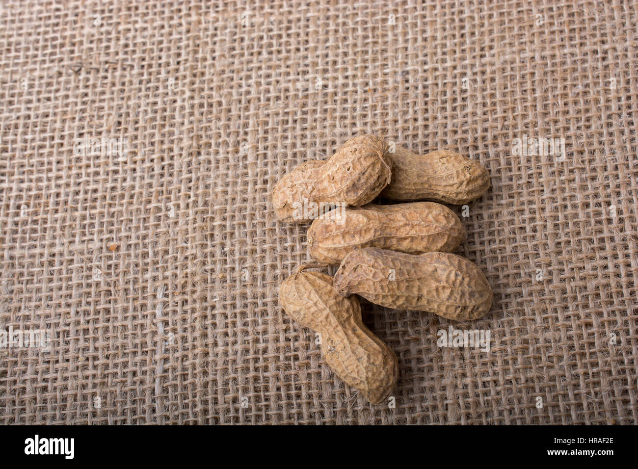 Peanuts with shell on linen canvas background Stock Photo - Alamy