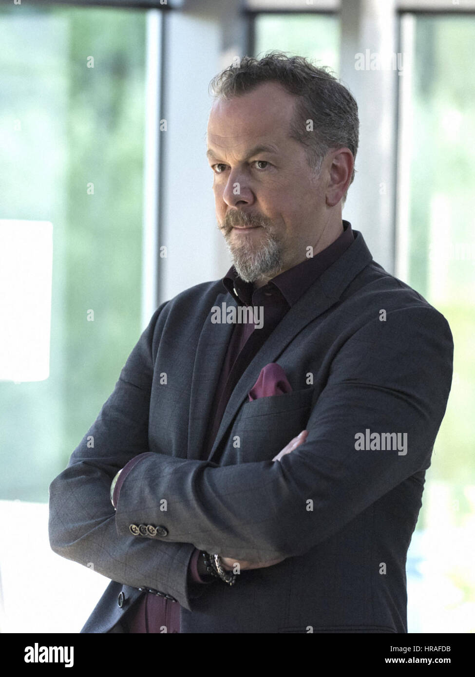 BILLIONS, David Costabile in 'Dead Cat Bounce', (Season 2, episode 202 ...