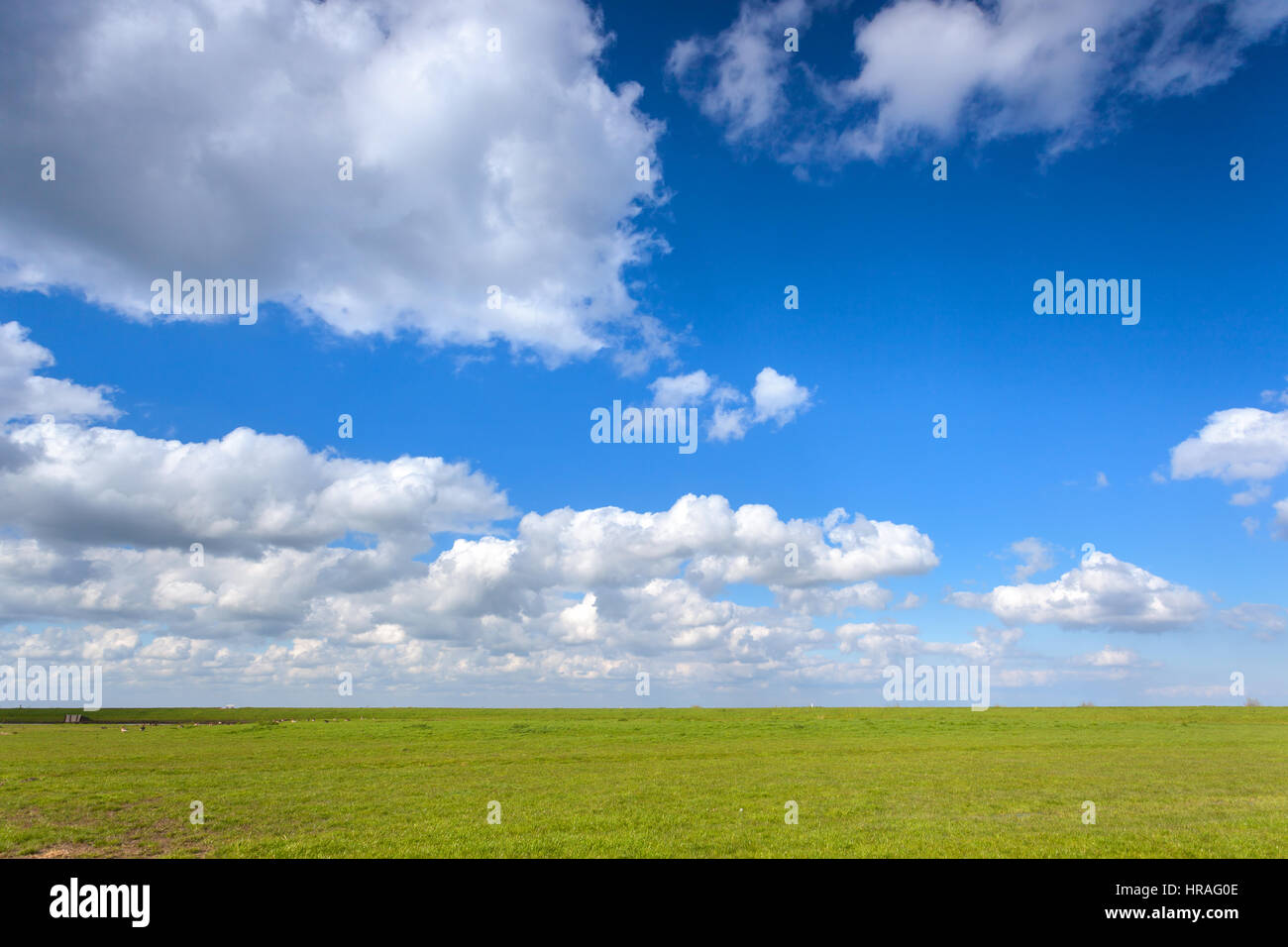 Beautiful landscape with green grass field and bright blue sky with ...