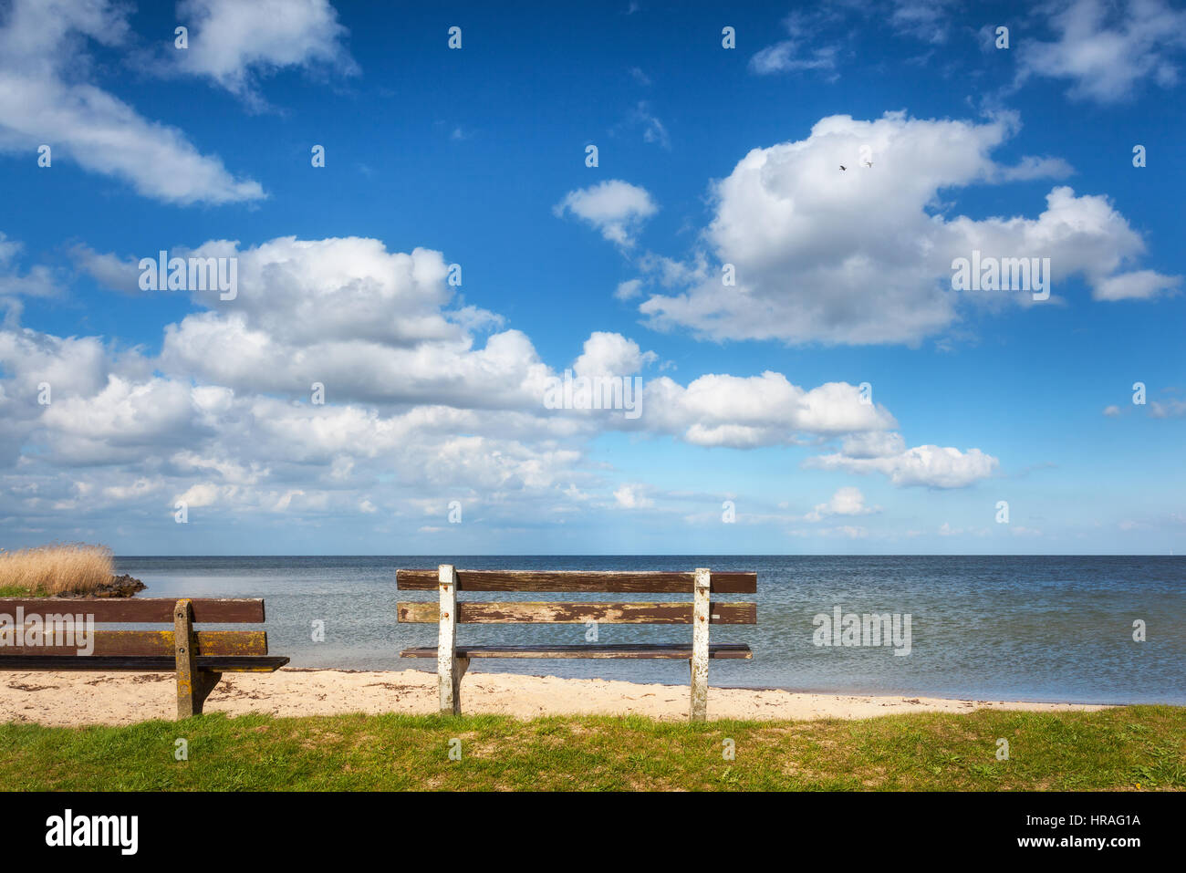 Bench on the sandy beach at the sea on the background of colorful blue ...