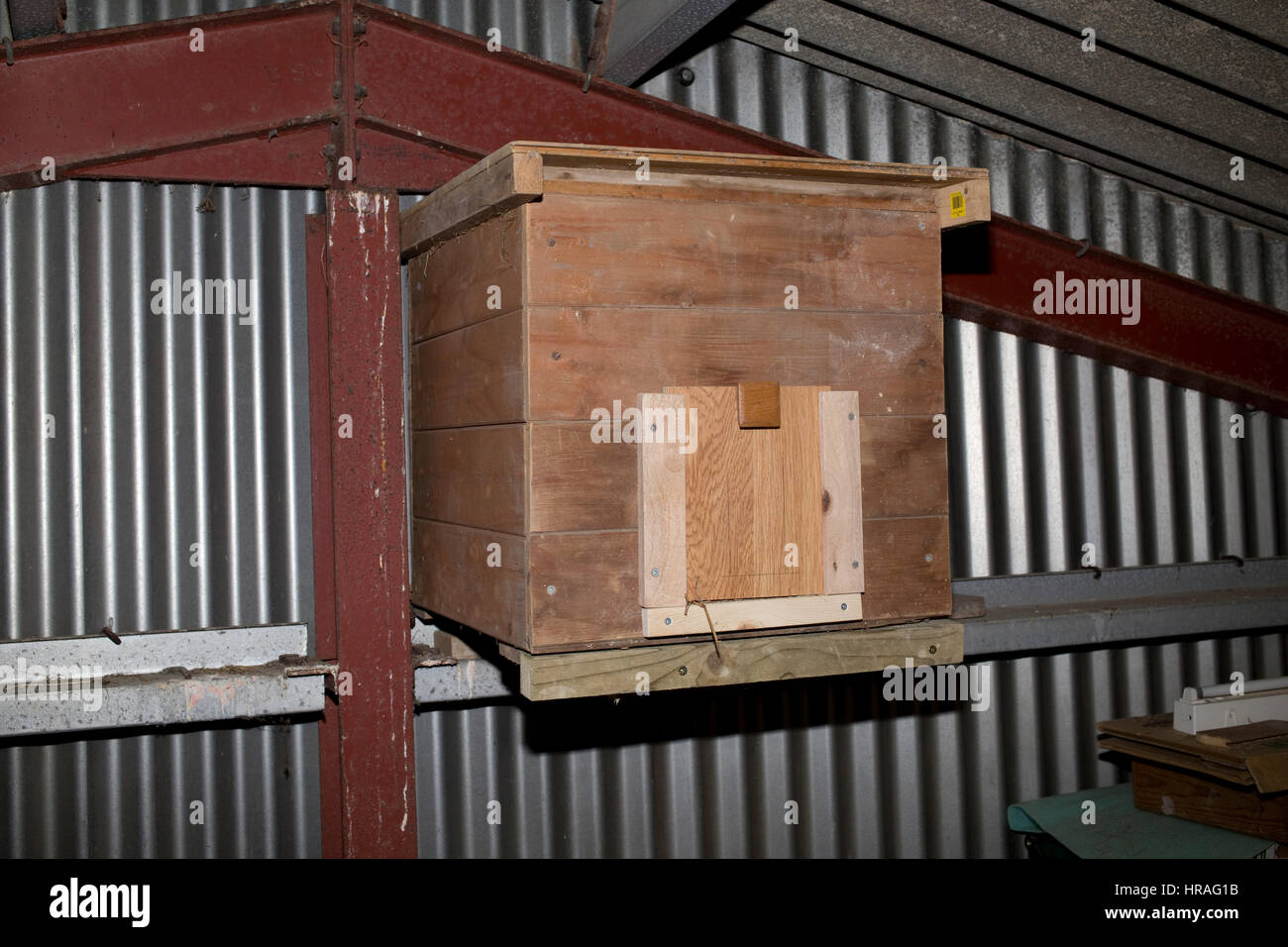 Barn owl box installed in steel barn UK Stock Photo - Alamy