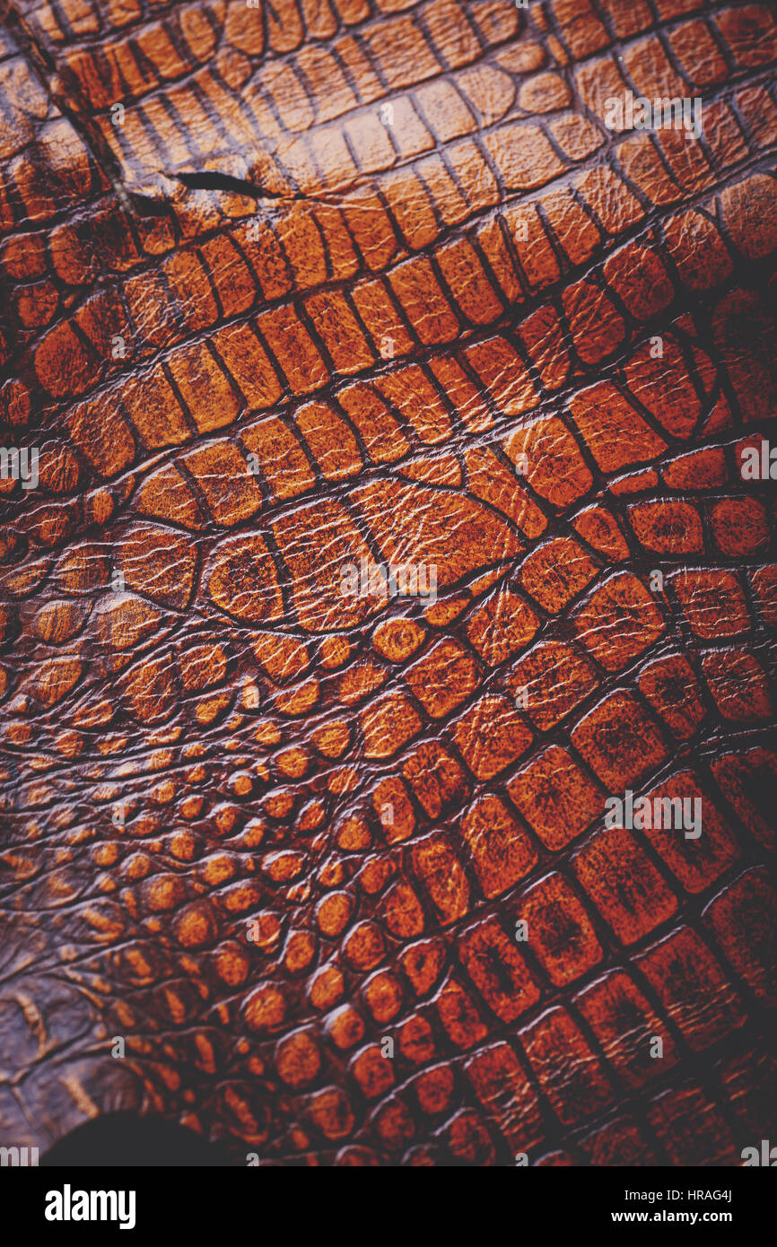 Natural crocodile leather texture Stock Photo - Alamy