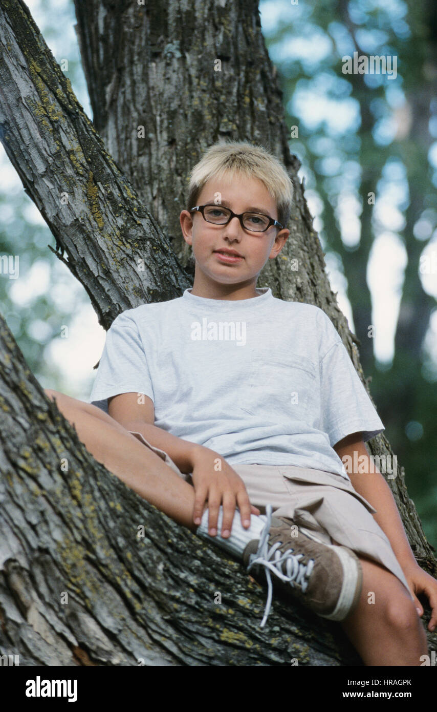Boy sitting in tree Stock Photo - Alamy