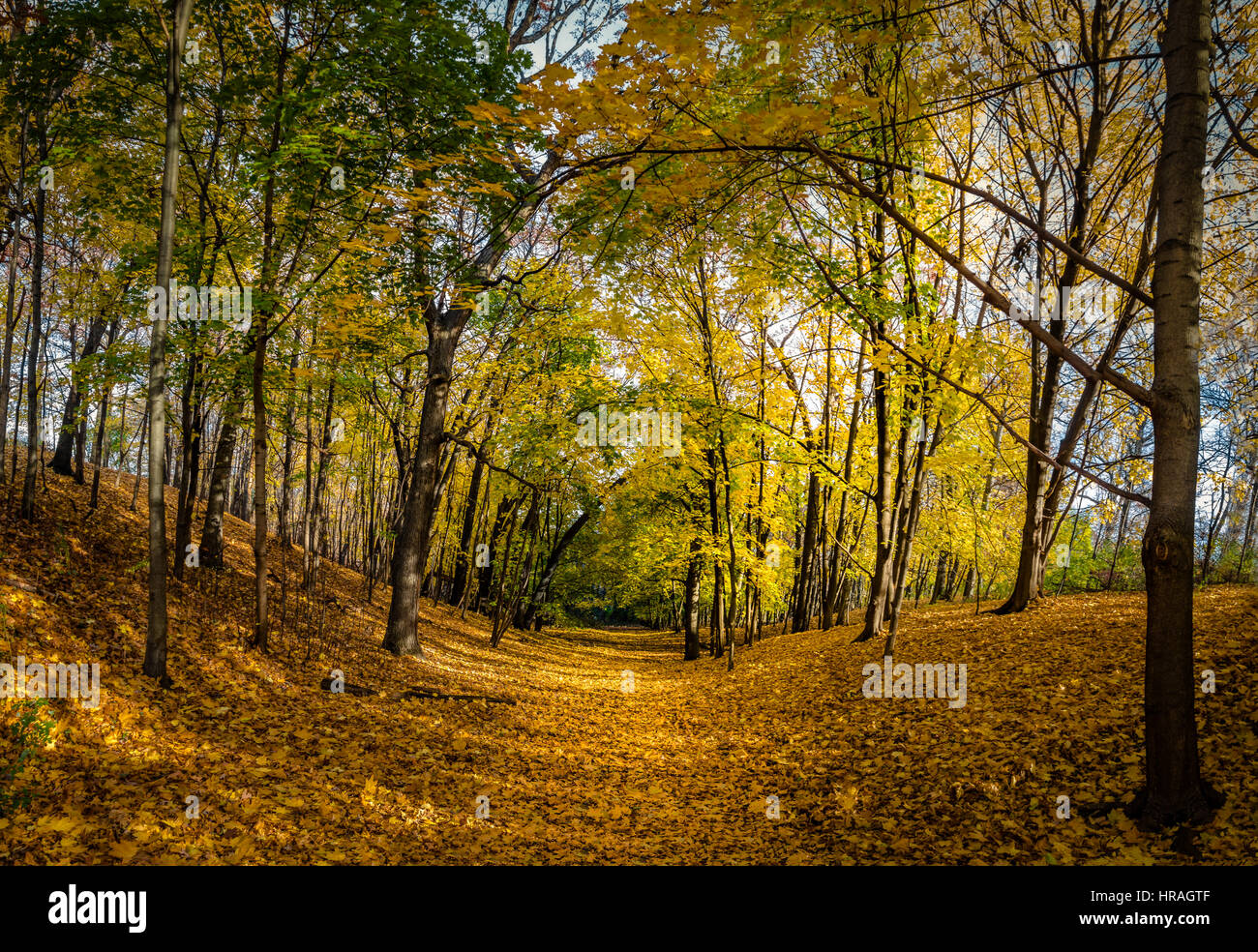 High park toronto fall hi-res stock photography and images - Alamy