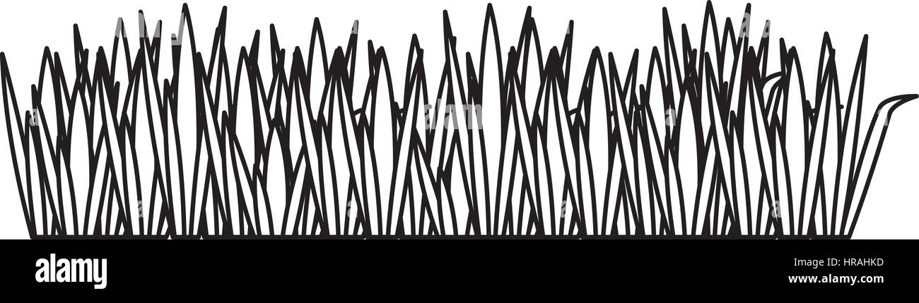 black contour of field grass Stock Vector Image & Art - Alamy