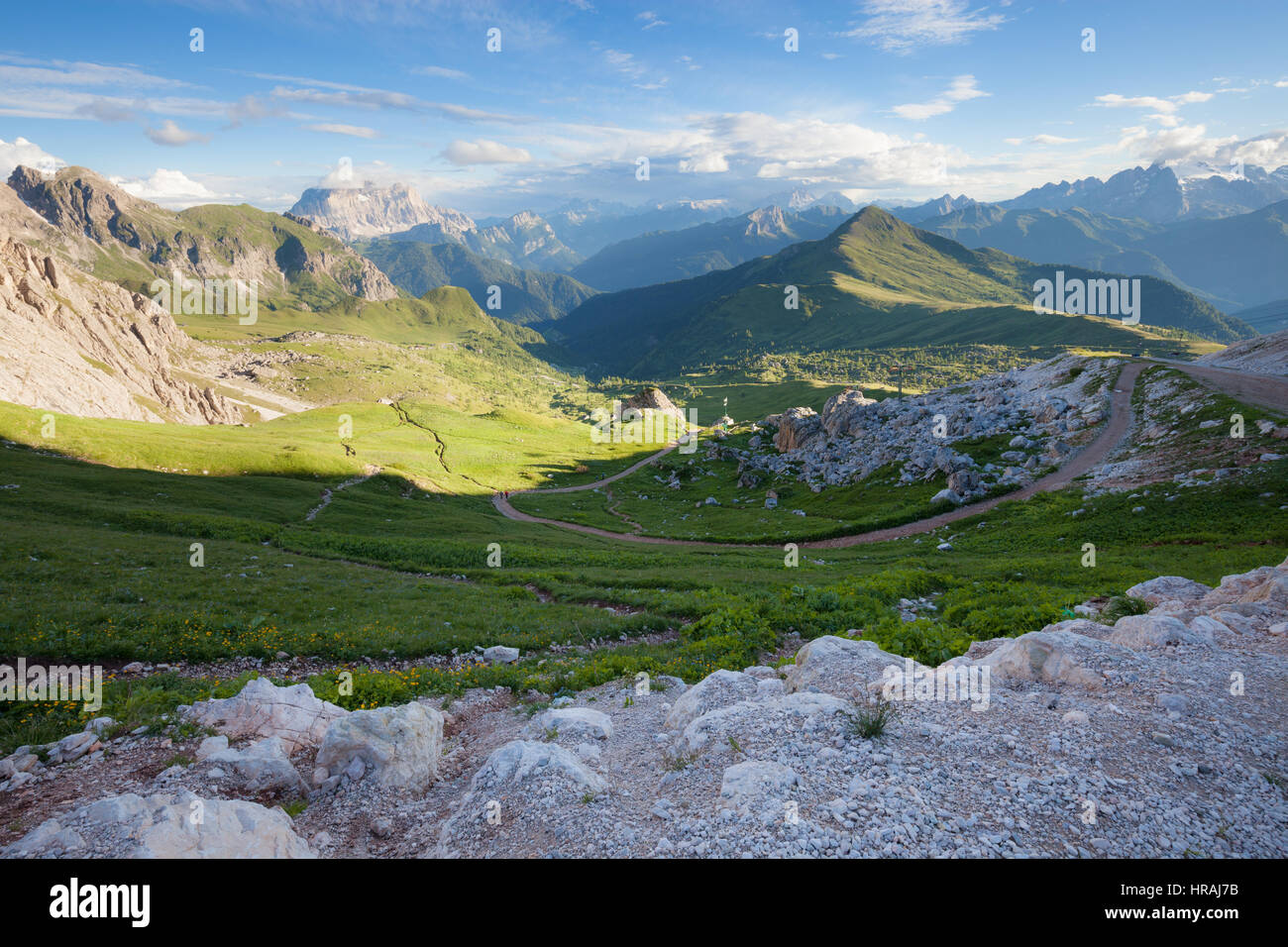 Summer mountain alpine meadow panorama. Dolomites Alps, Italy Stock ...