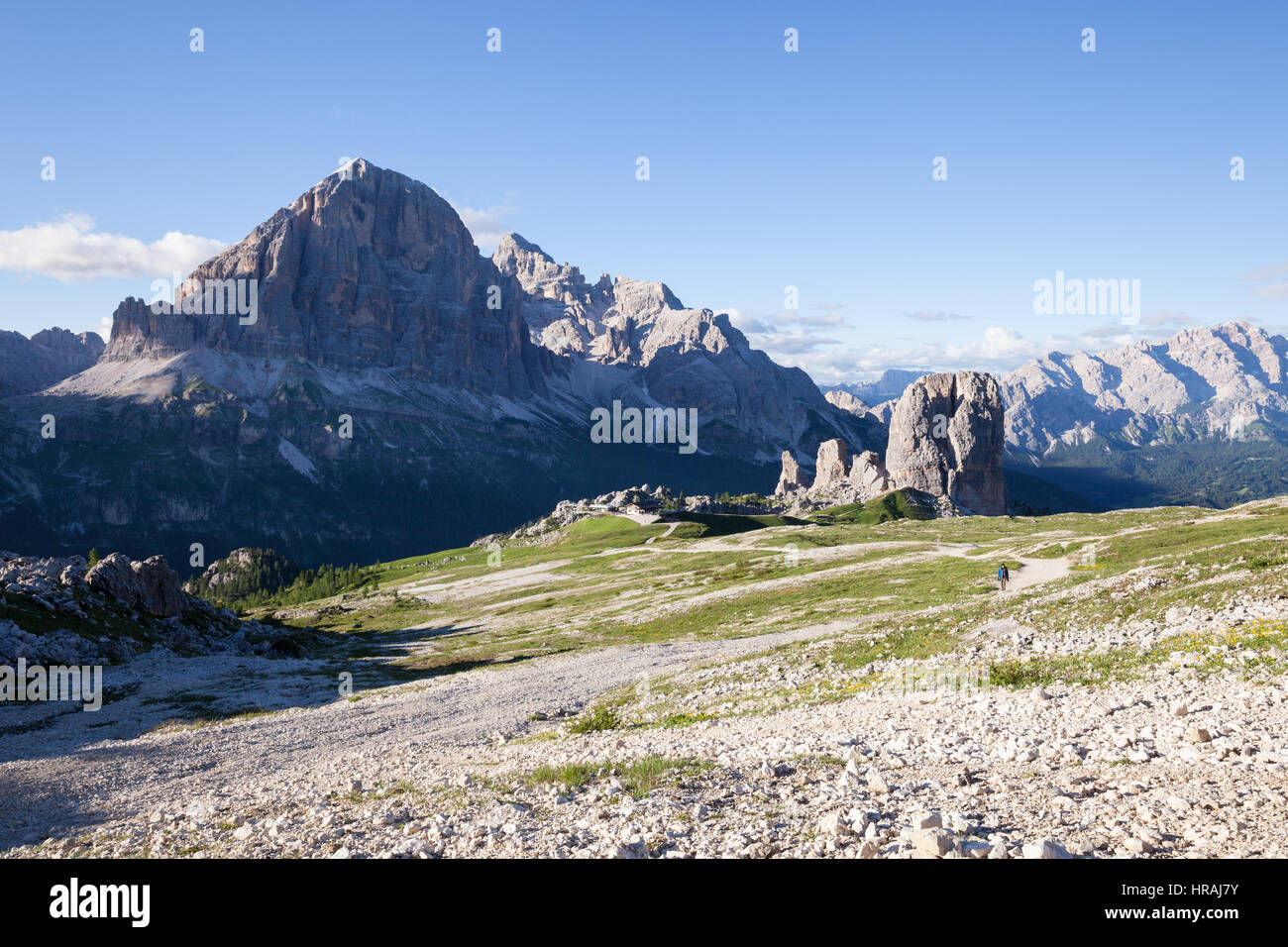 Summer mountain alpine meadow panorama. Dolomites Alps, Italy Stock ...
