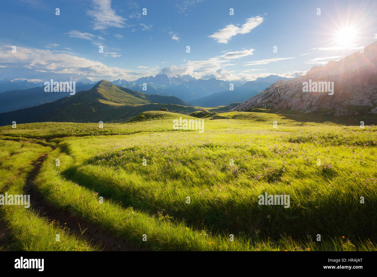 Summer mountain alpine meadow panorama. Dolomites Alps, Italy Stock ...