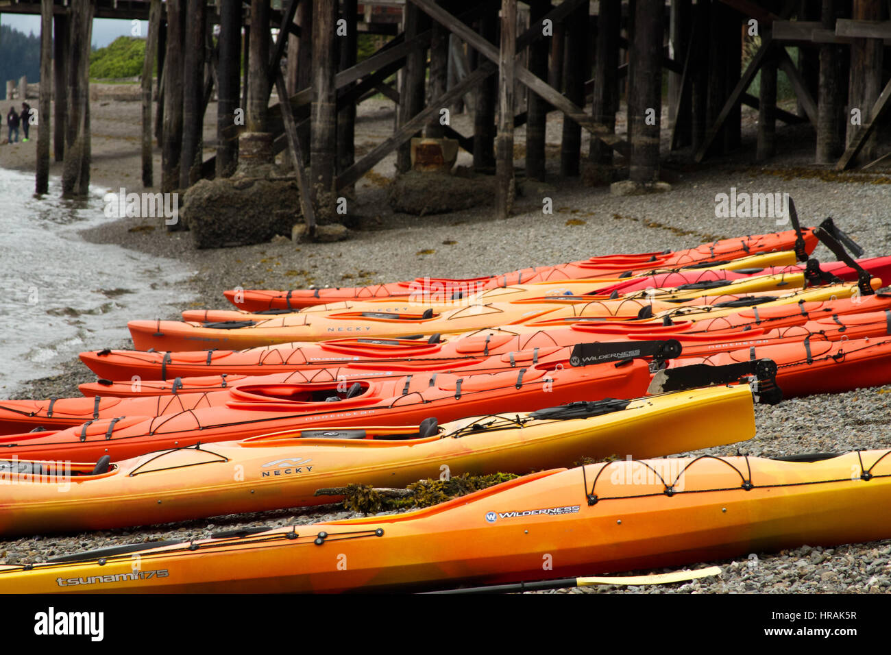 Alaskan gold rush hi-res stock photography and images - Alamy