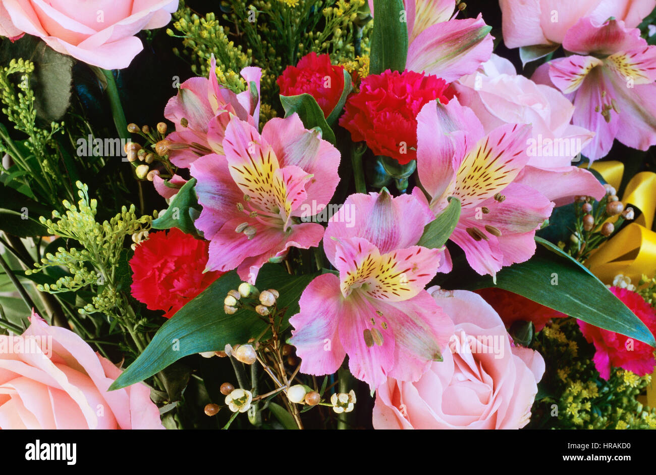 Carnation lily lily rose hi-res stock photography and images - Alamy