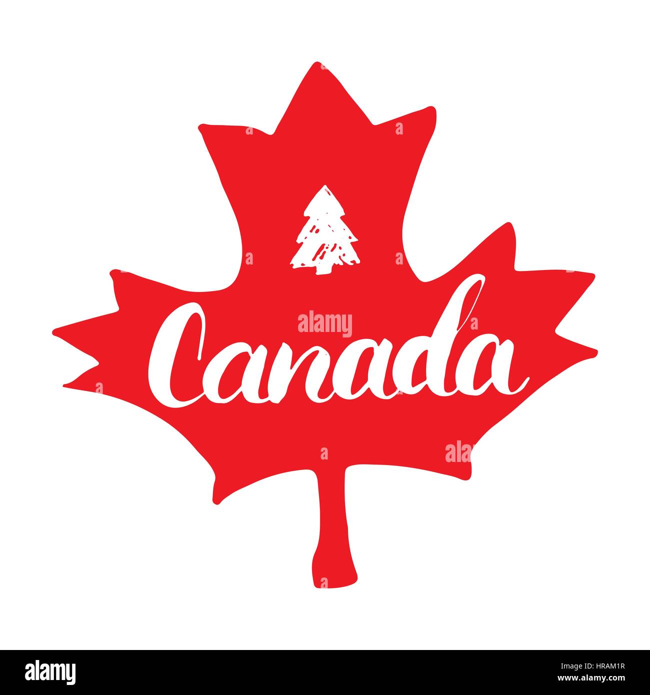 Canada Hand drawn Maple leaf with calligraphy lettering vector ...