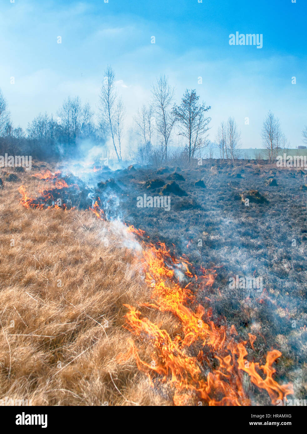 Fire danger season hi-res stock photography and images - Alamy