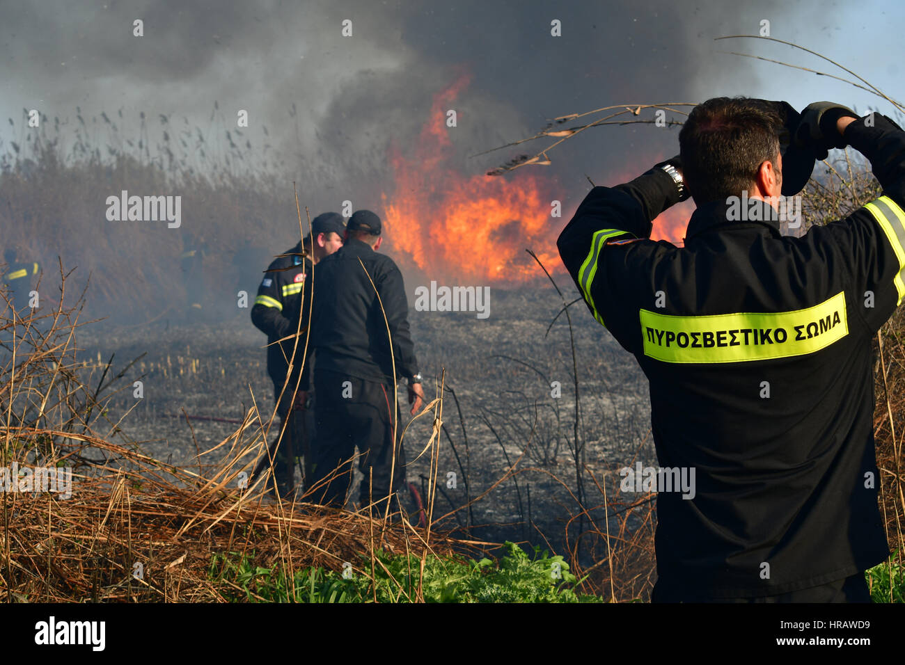 Argos, Greece. 28th Feb, 2017. Firefighters attempt to bring under ...