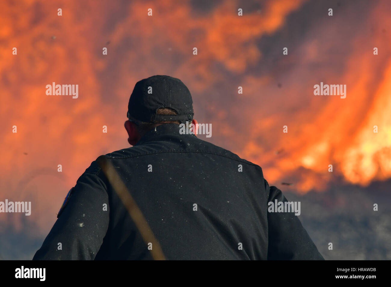 Argos, Greece. 28th Feb, 2017. Firefighters attempt to bring under ...