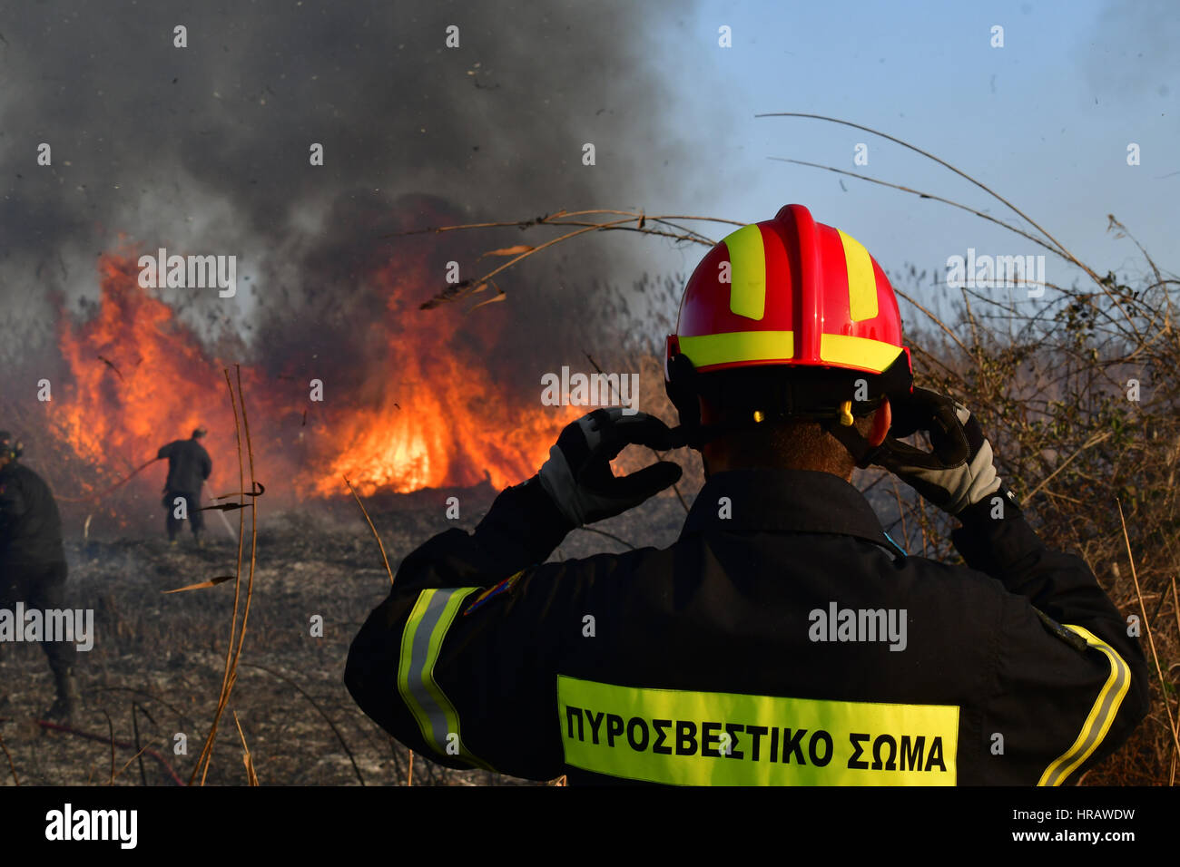 Argos, Greece. 28th Feb, 2017. Firefighters attempt to bring under ...