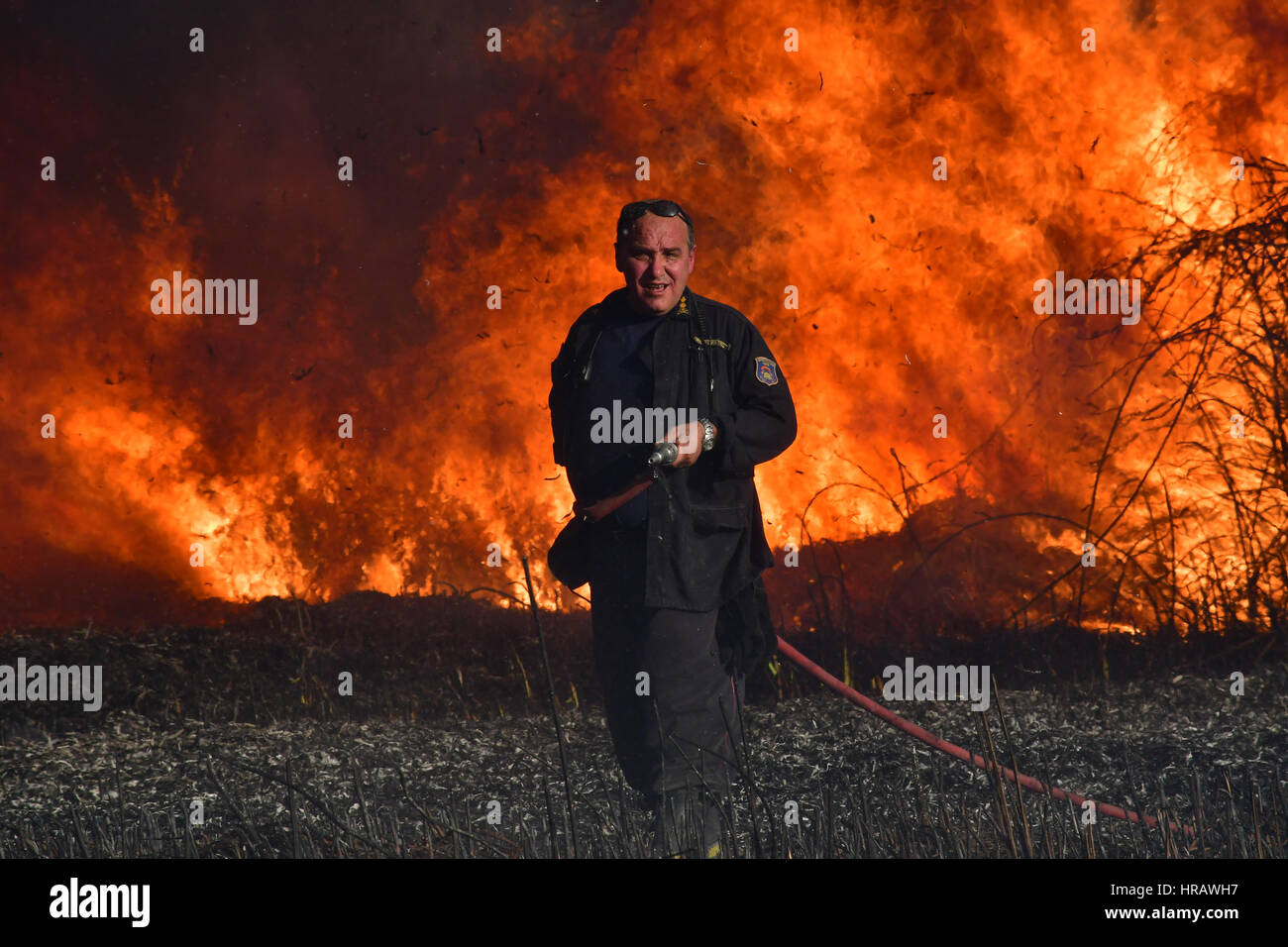 Argos, Greece. 28th Feb, 2017. Firefighters attempt to bring under ...