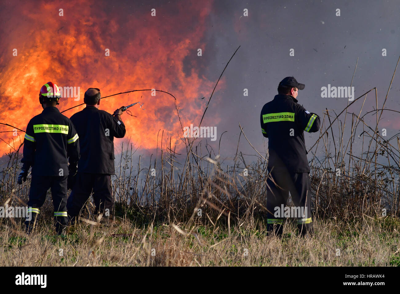Argos, Greece. 28th Feb, 2017. Firefighters attempt to bring under ...