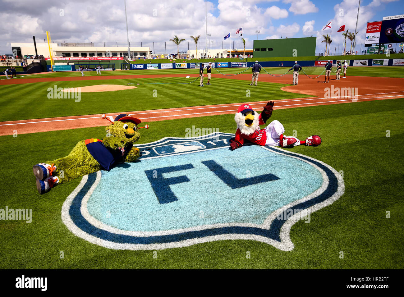 Washington nationals mascots hi-res stock photography and images - Alamy