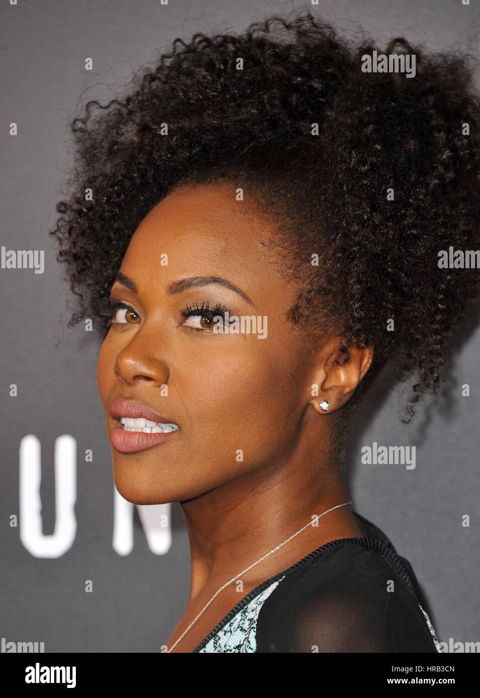 Los Angeles, CA, USA. 28th Feb, 2017. DeWanda Wise at arrivals for WGN ...