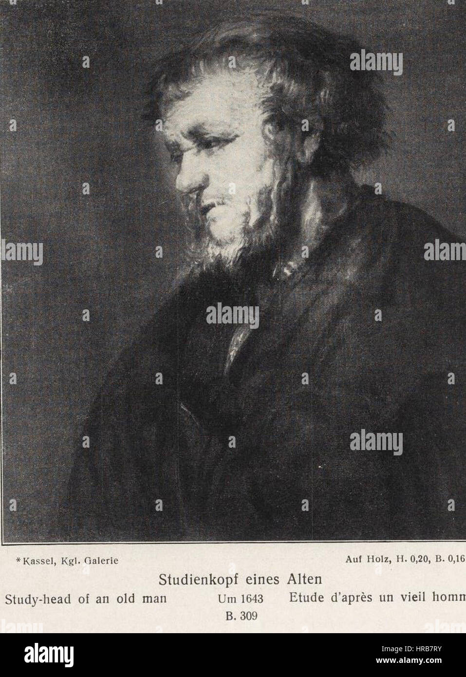 Rembrandt - Study of an old man in profile Stock Photo - Alamy
