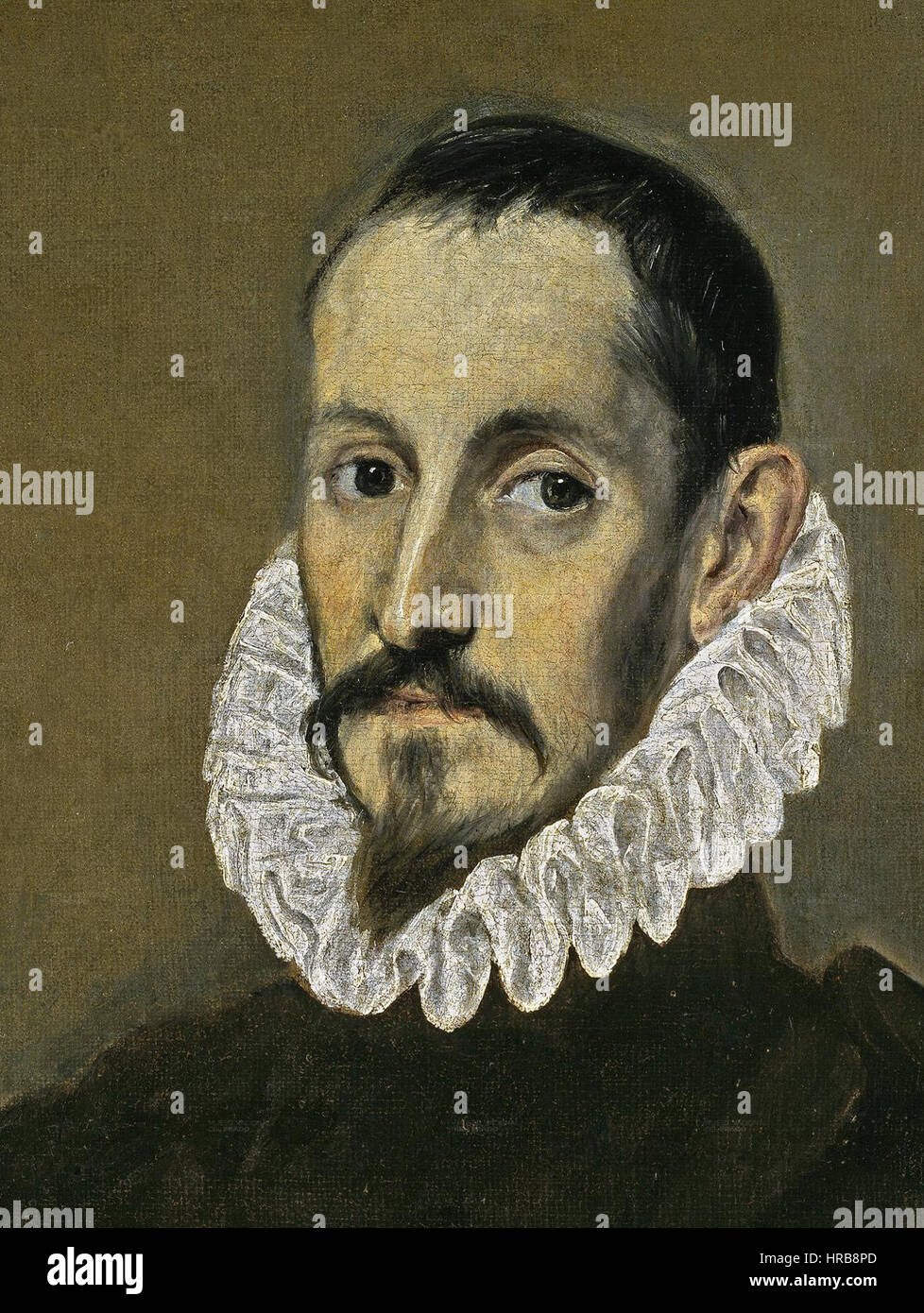 Retrato de un caballero, de El Greco (Museo del Prado Stock Photo - Alamy