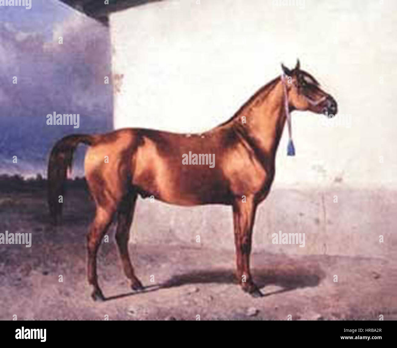 Ati design hi-res stock photography and images - Alamy