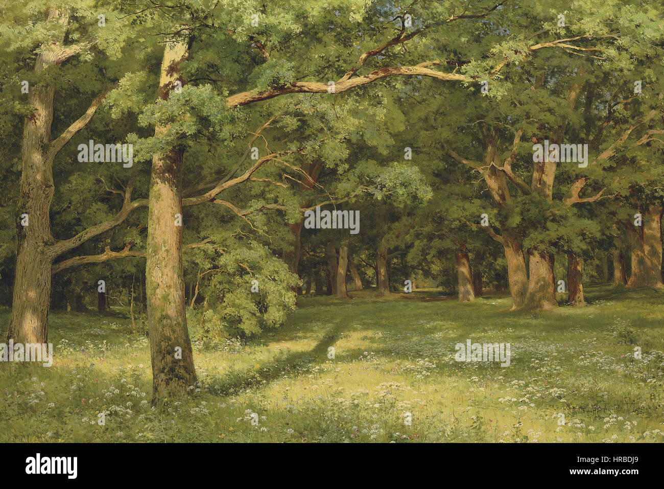 Shiskin - The Forest Clearing Stock Photo - Alamy