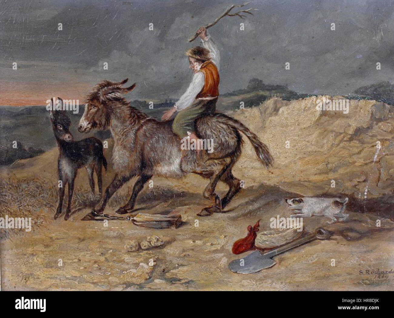 S. Richards - A man riding a stubborn mule (1869 Stock Photo - Alamy