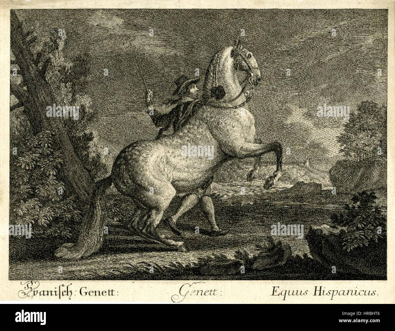 Ridinger hi-res stock photography and images - Alamy