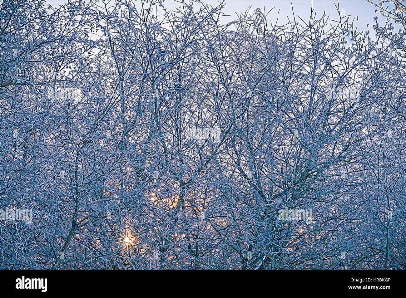 Birds sitting on a tree in winter Stock Photo - Alamy