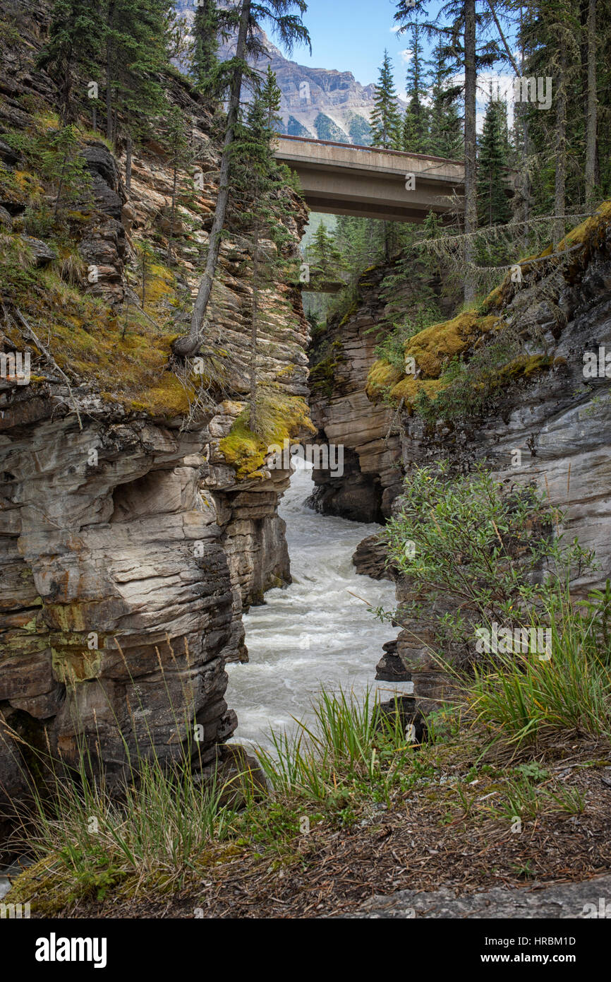 Wood mountains sky scenic rocks trees autumn summer park hi-res stock ...