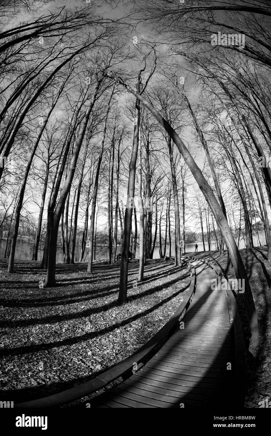 Picture fish hi-res stock photography and images - Alamy