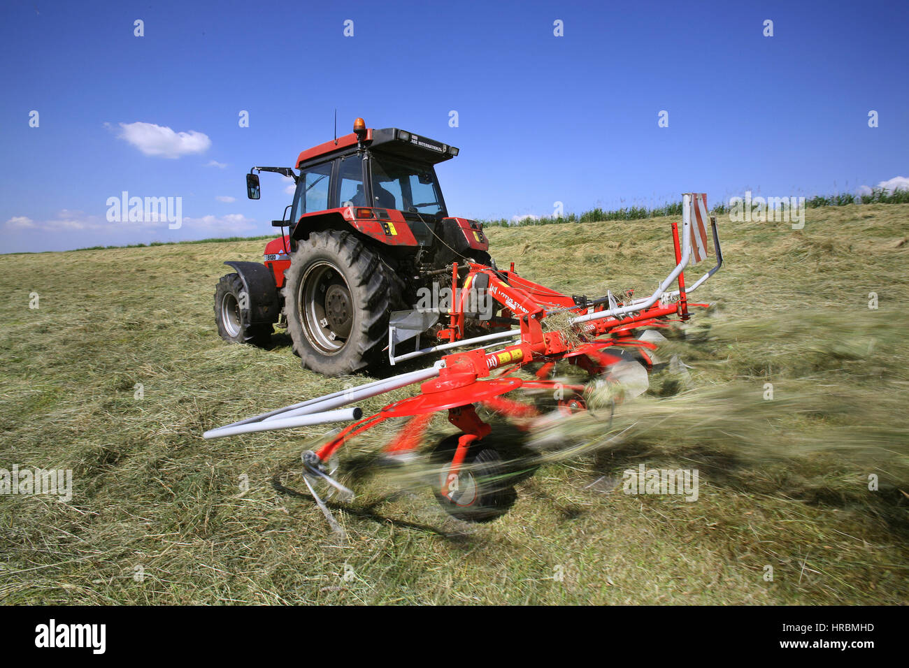 grass (hay) is cut and conserved under plastic Stock Photo - Alamy